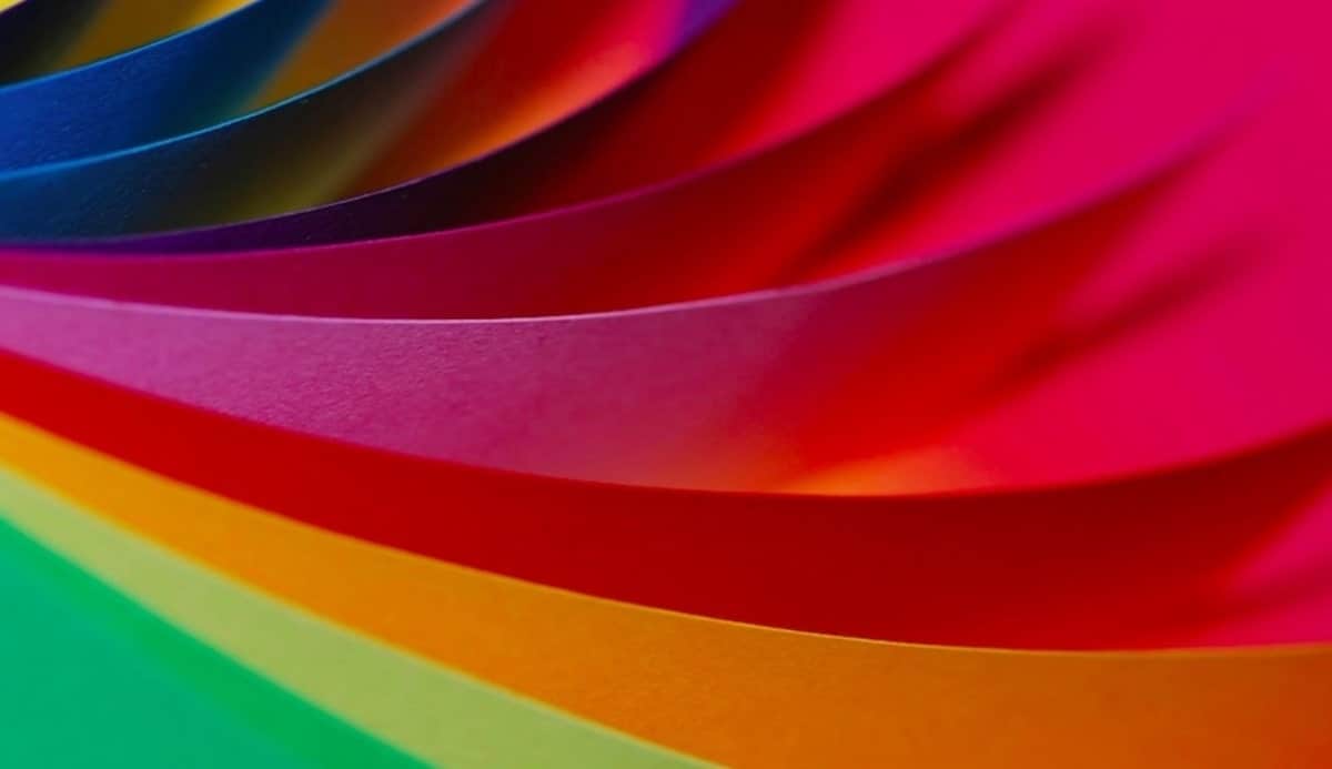 Come si ricicla la carta in 3 fasi | Rigeneriamo il Territorio